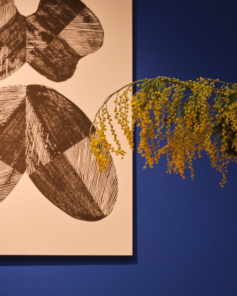 Mentsen – Forme e Colori